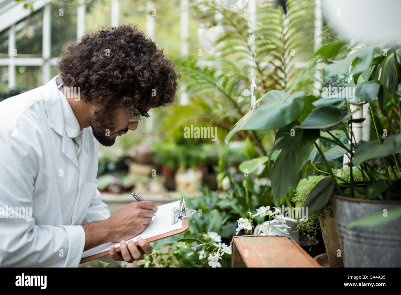 Male scientist writing in clipboard while examining plants Stock Photo ...