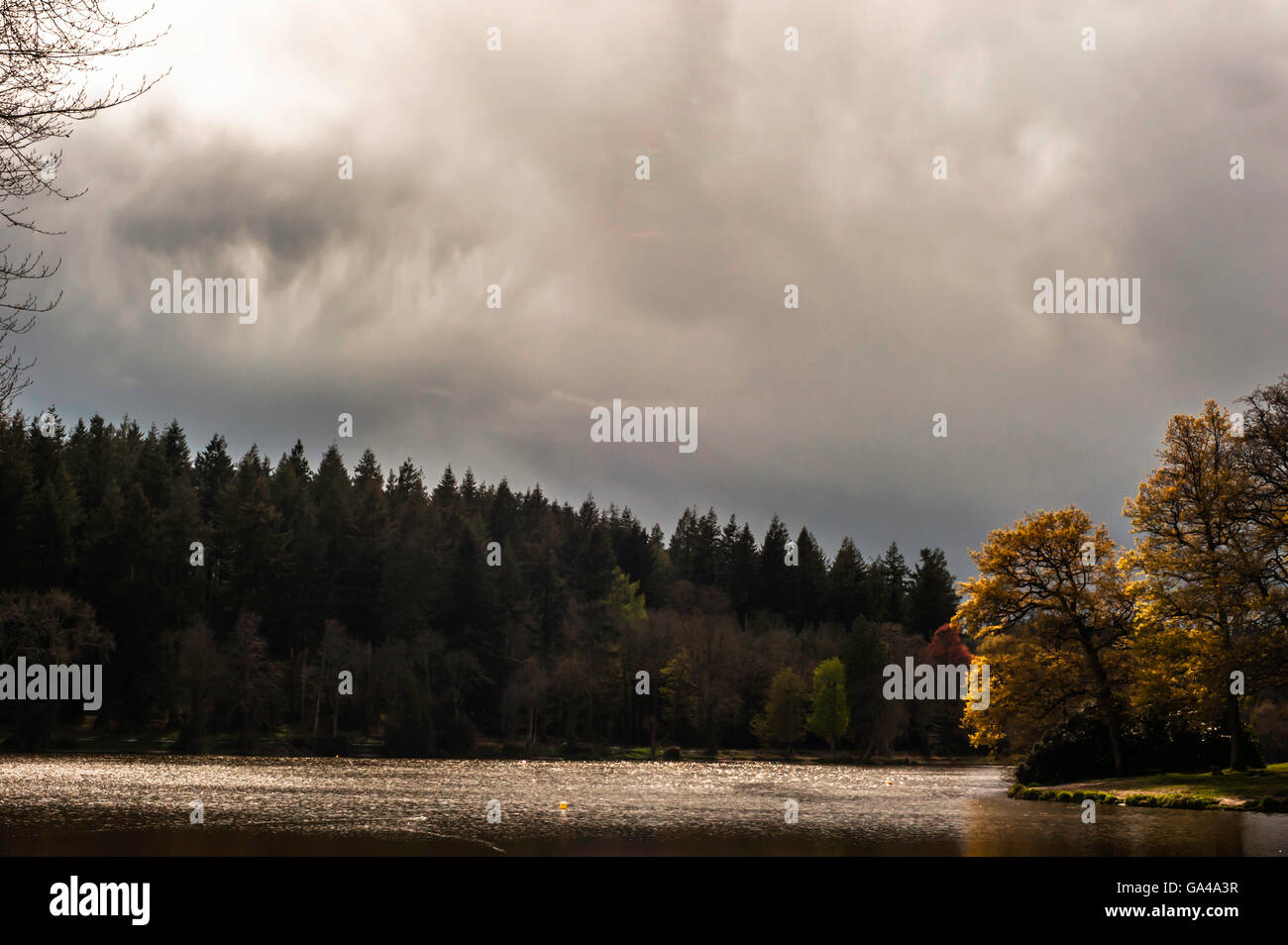 Shearwater UK - Lake Stock Photo - Alamy
