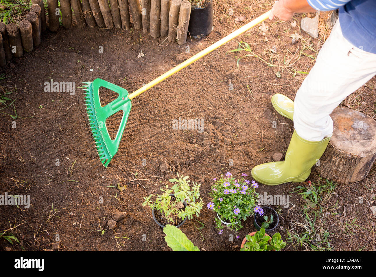 Low section of gardener using rake at farm Stock Photo - Alamy