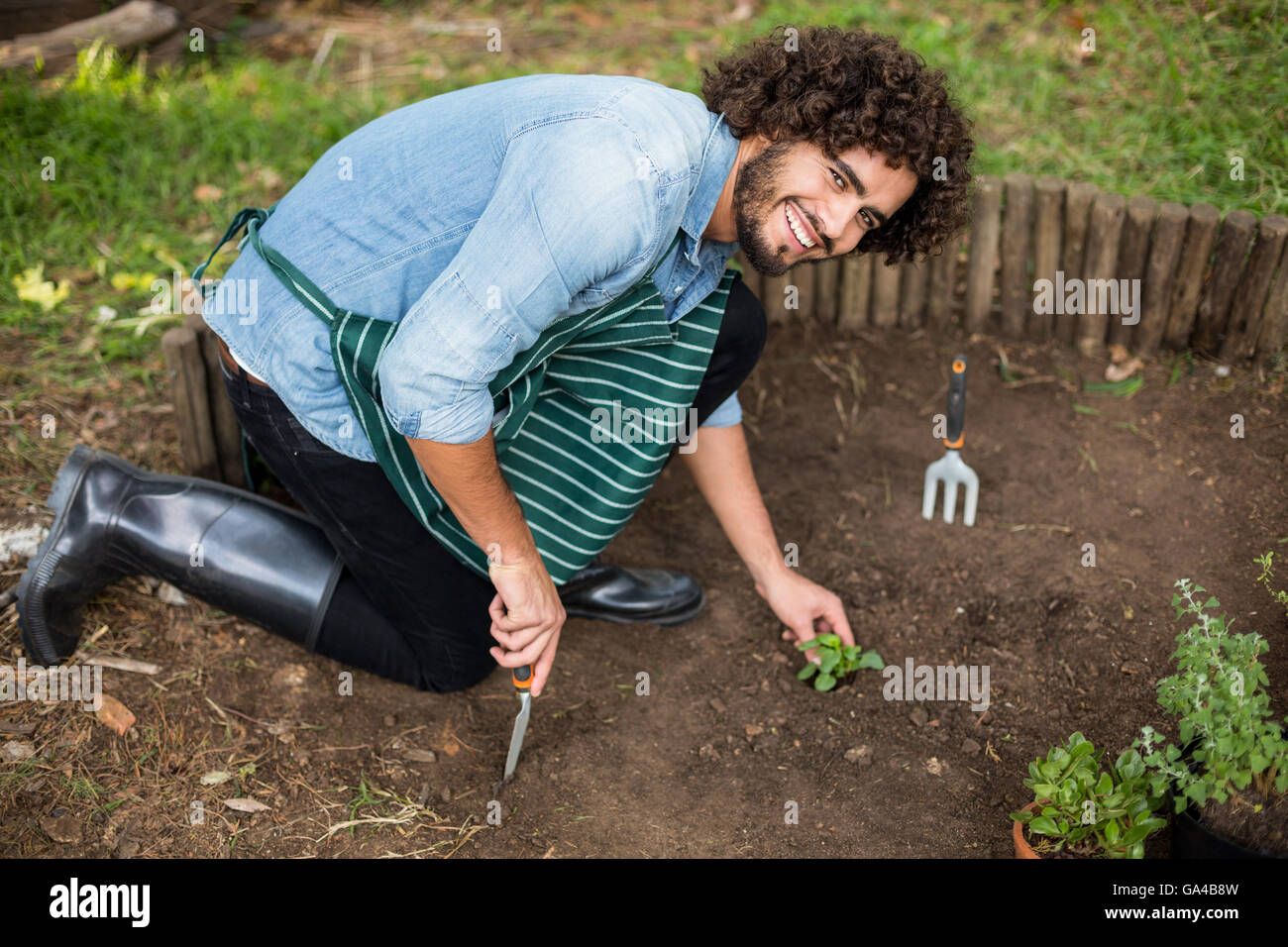 Gardener planting outside greenhouse Stock Photo - Alamy