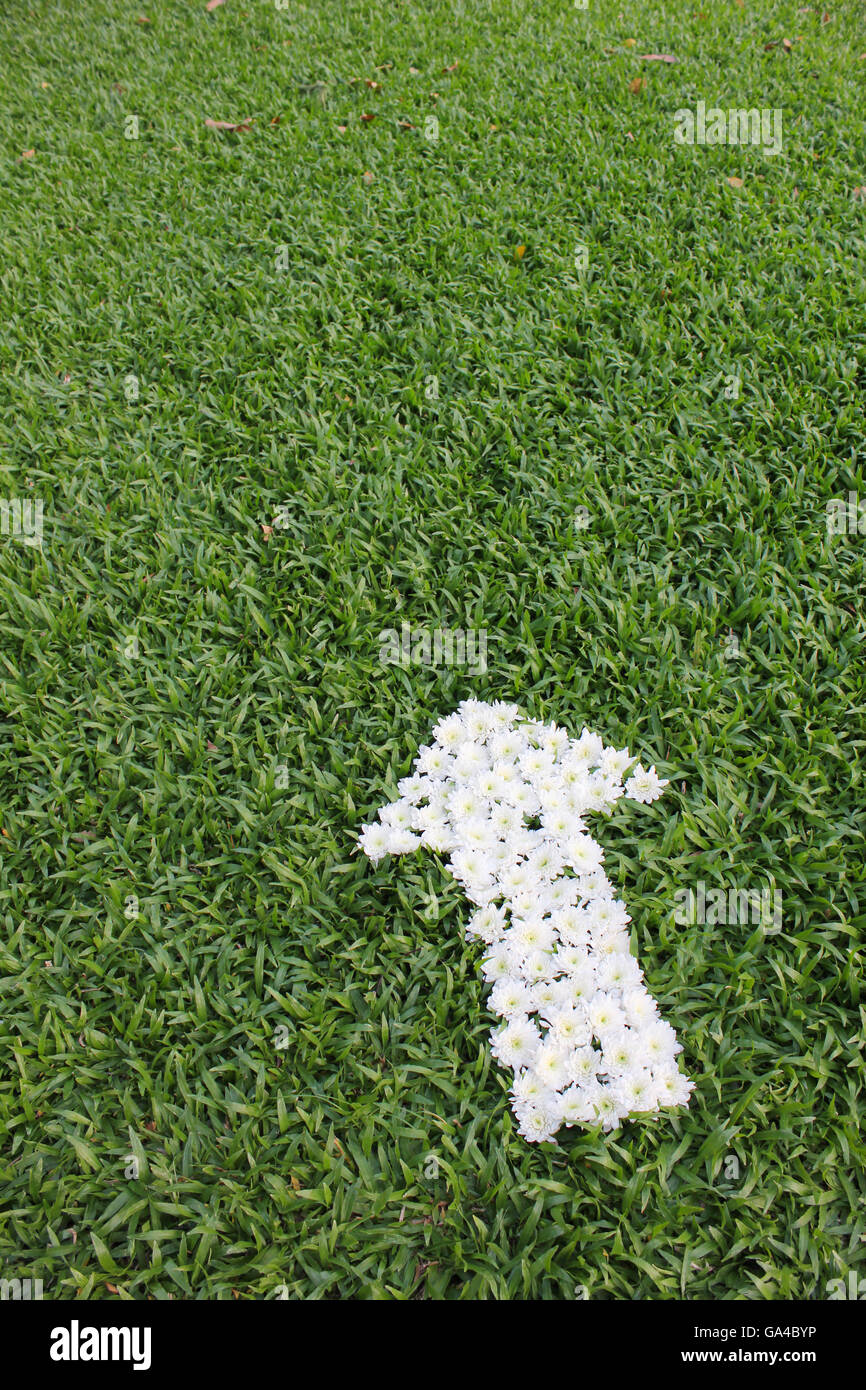 Arrow with flowers hi-res stock photography and images - Alamy