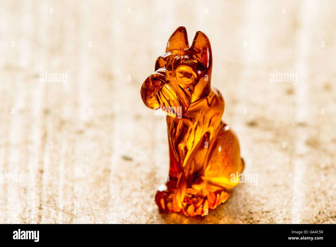 Amber dog, closeup Stock Photo - Alamy