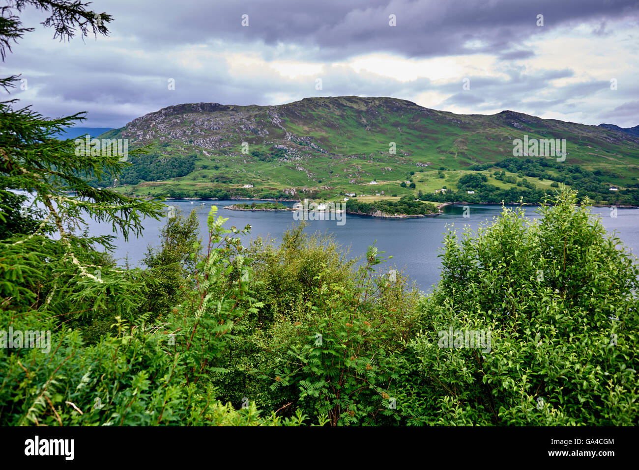 Loch Carron is a sea loch on the west coast of Ross and Cromarty in the ...