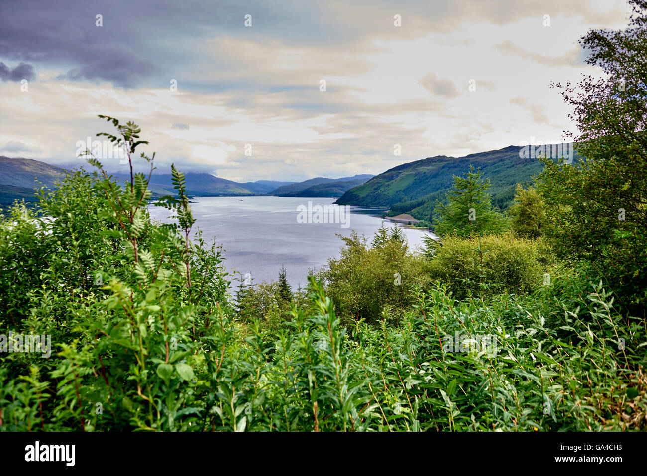 Loch Carron is a sea loch on the west coast of Ross and Cromarty in the ...