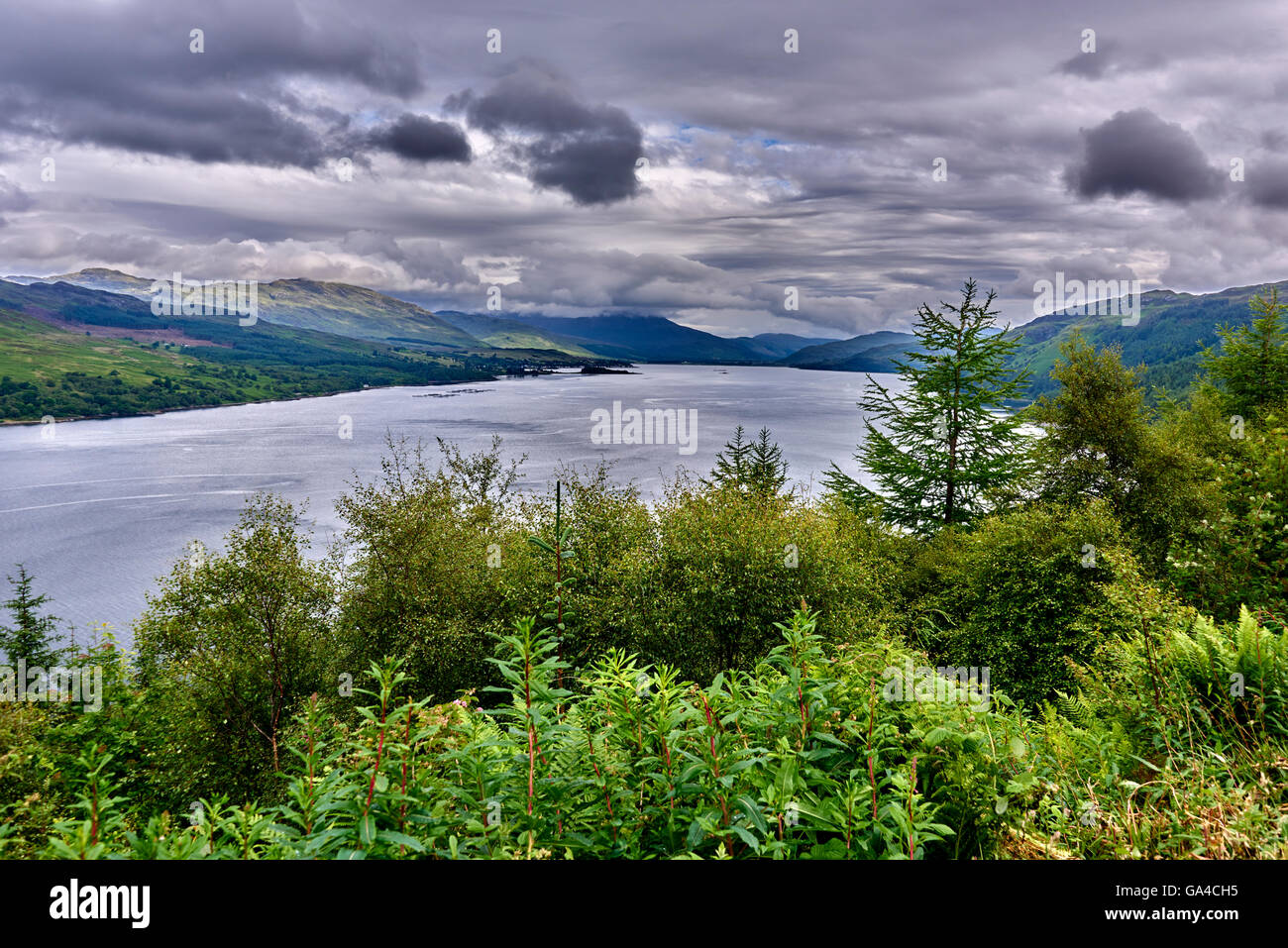 Loch Carron is a sea loch on the west coast of Ross and Cromarty in the ...
