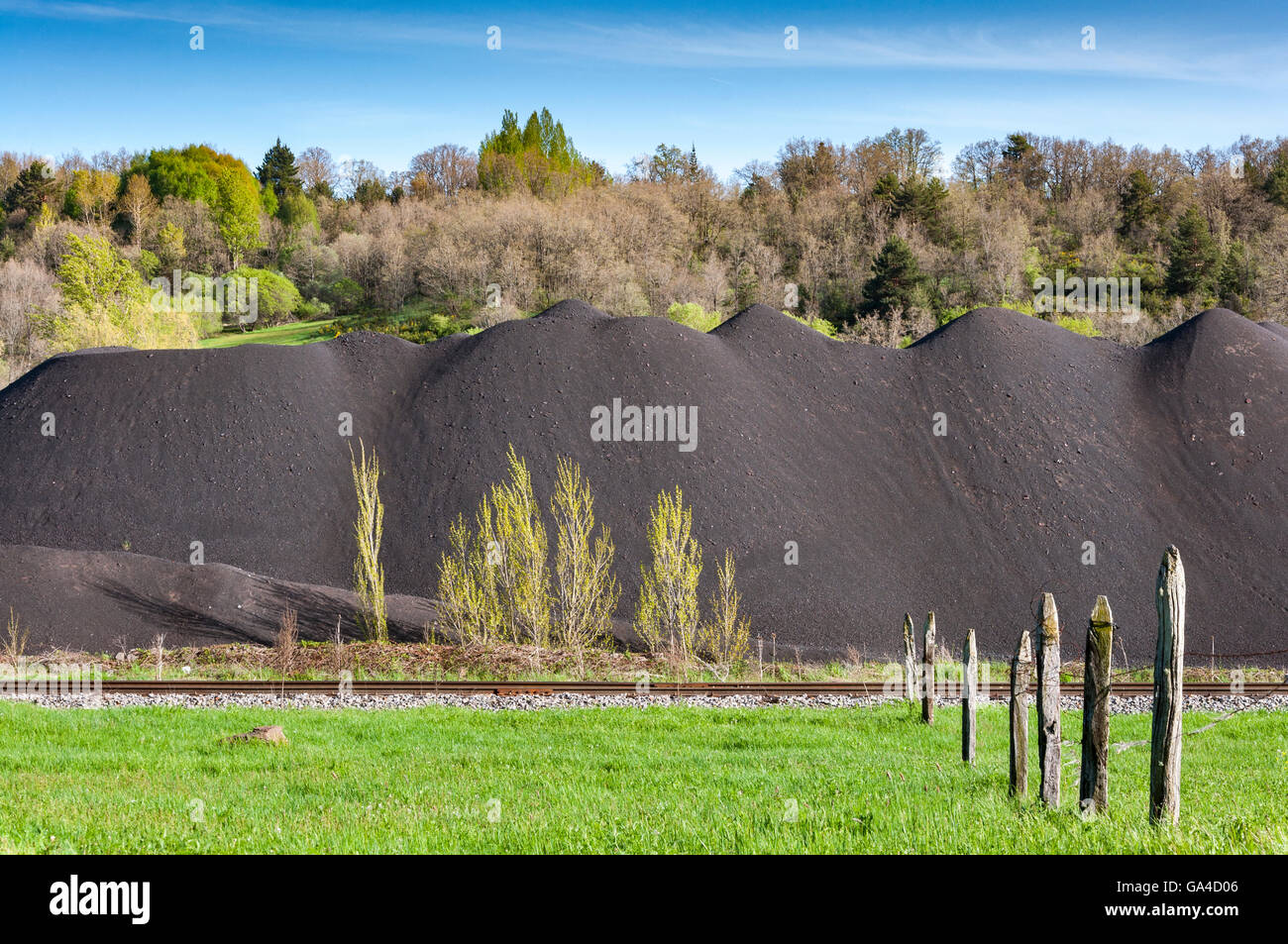 Pile coal tree hi-res stock photography and images - Alamy