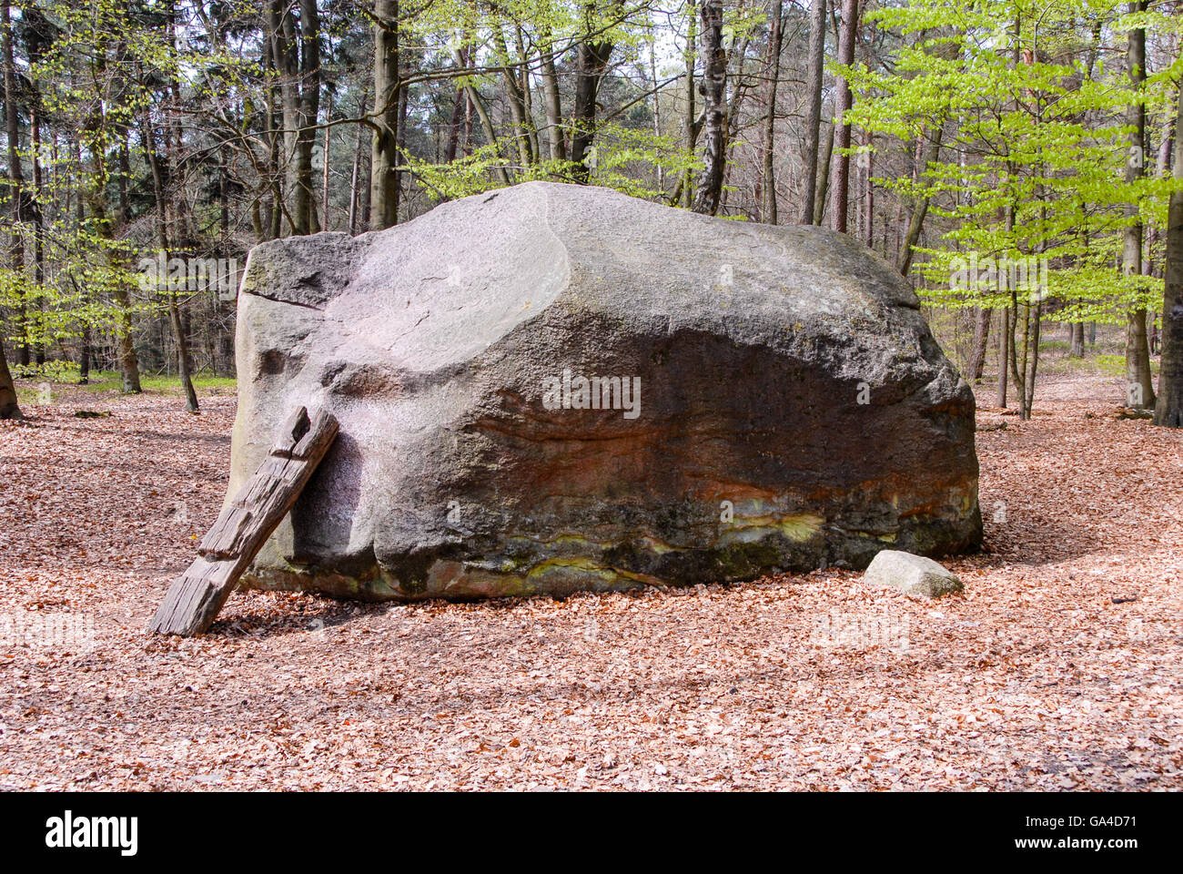 Erratic block Giebichenstein in a forest Stock Photo - Alamy