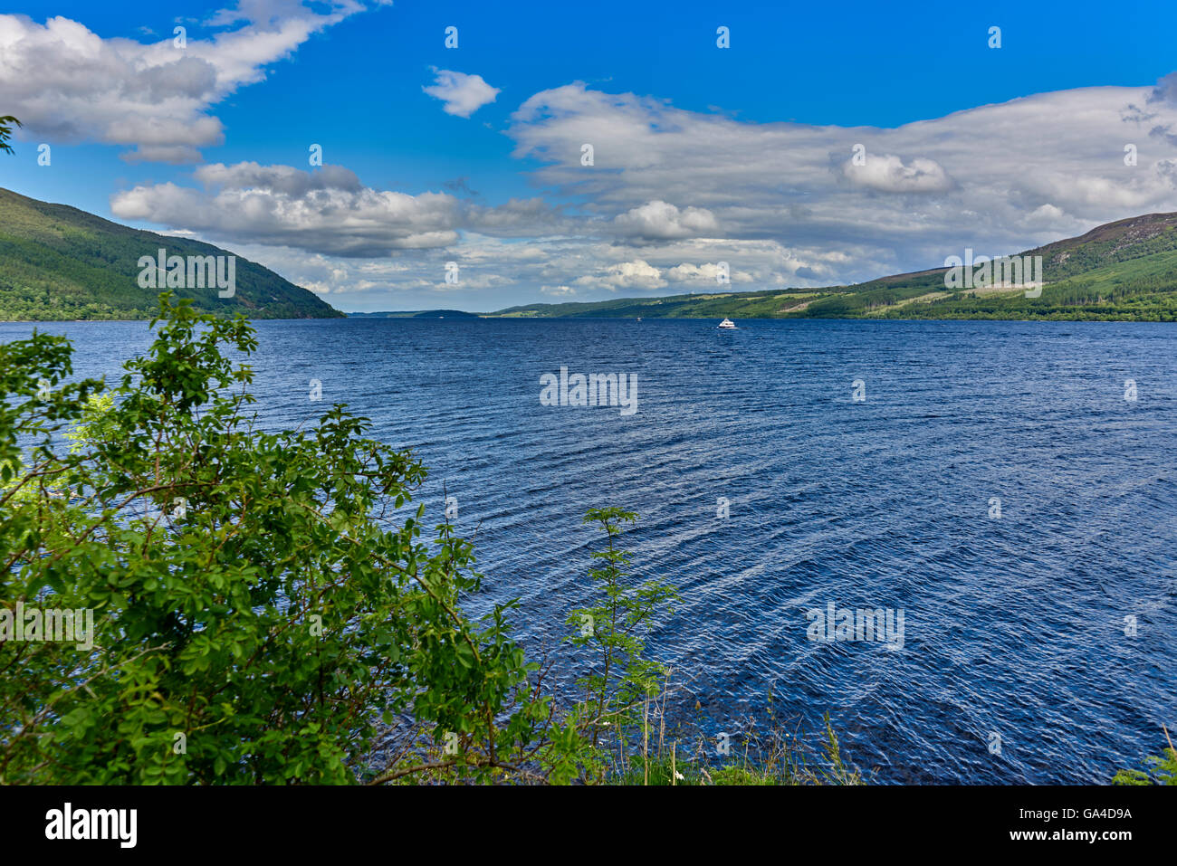Loch Ness is a large, deep, freshwater loch in the Scottish Highlands ...