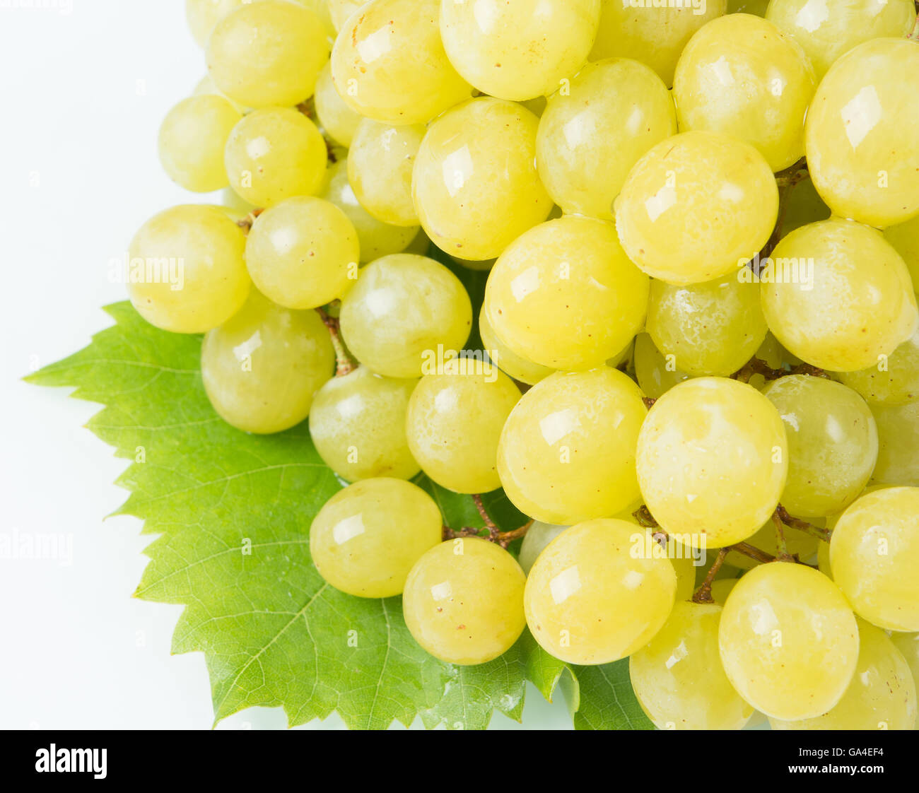large berries grapes Stock Photo - Alamy