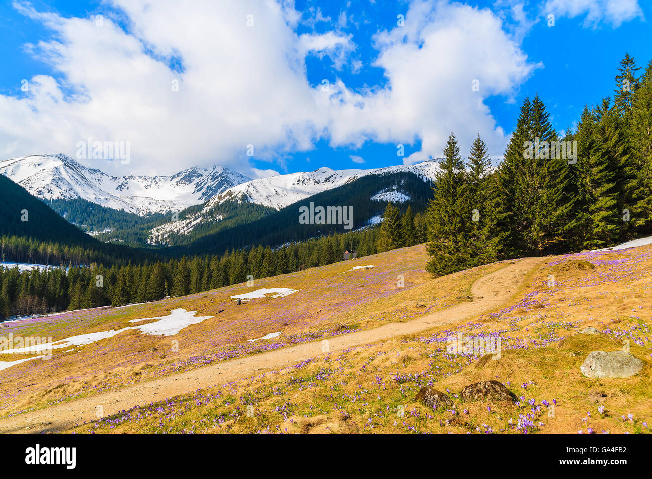 Spring hiking trail hi-res stock photography and images - Alamy