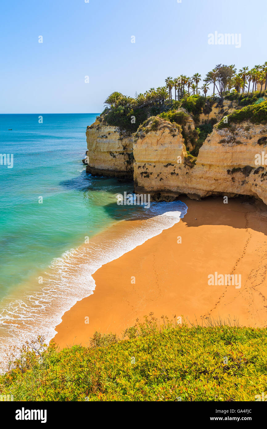 Senhora rocha hi-res stock photography and images - Alamy