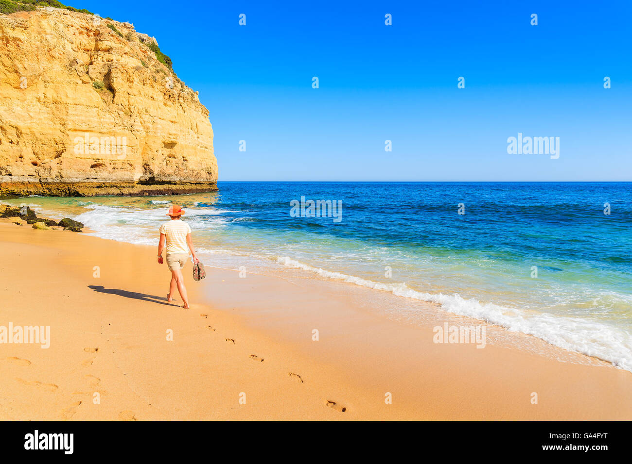 Vale centianes hi-res stock photography and images - Alamy