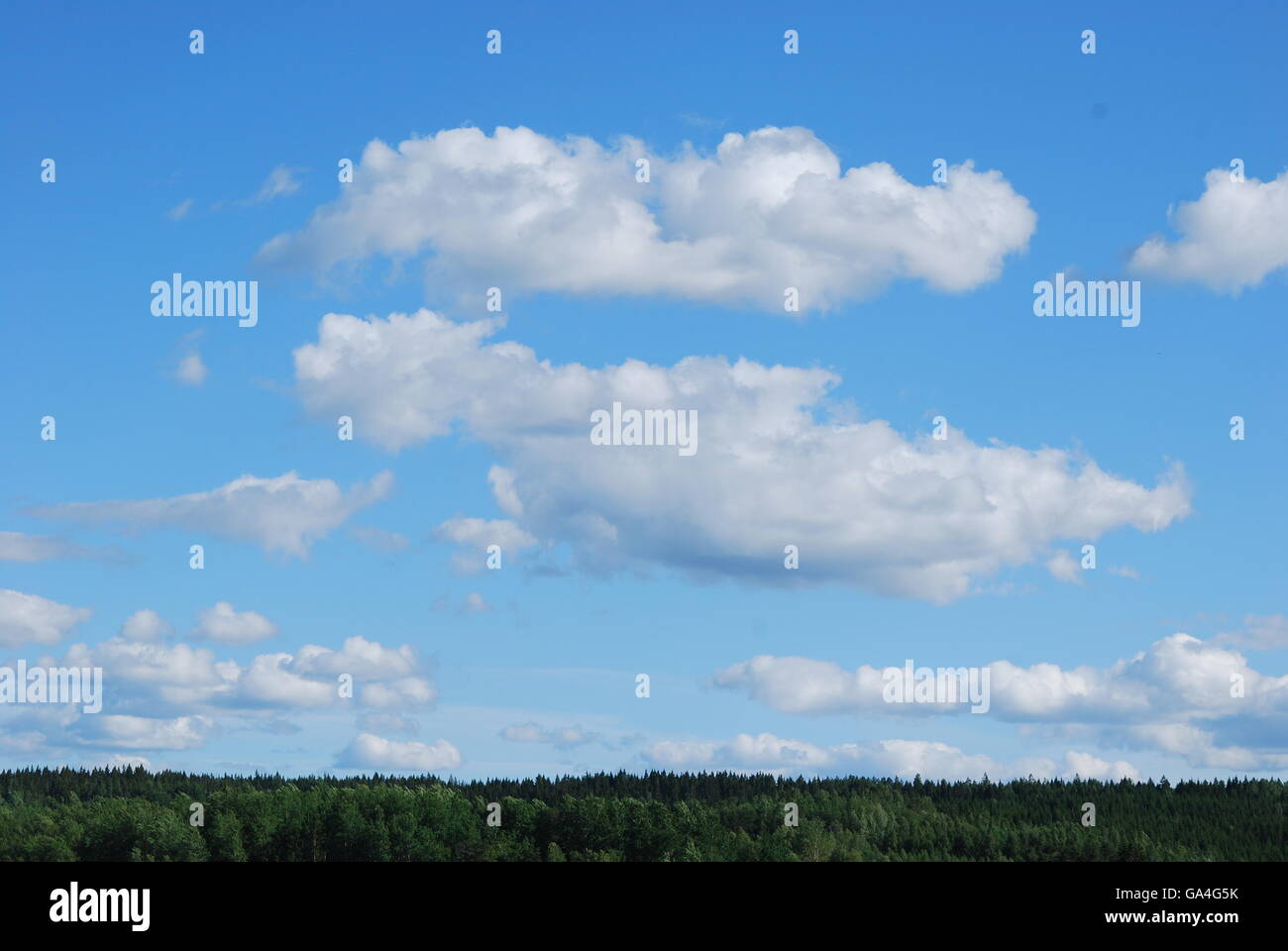 Clouds over tree tops hi-res stock photography and images - Alamy