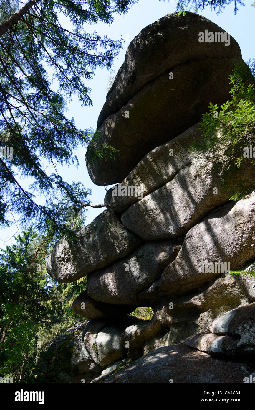 Rappottenstein Granite rock formation " glacial mill " and spruce ...