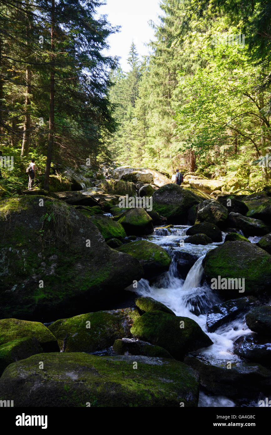 Arbesbach waterfall Höllfall stream Großer Kamp at Pretrobruck Austria ...