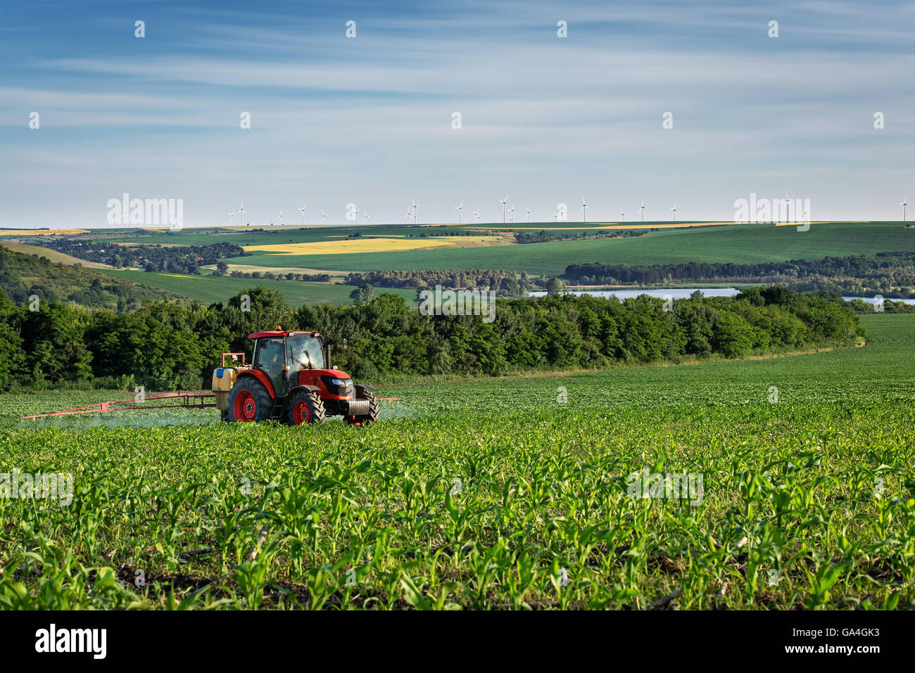 Tractor spraying corn field with sprayer during sunset Stock Photo - Alamy