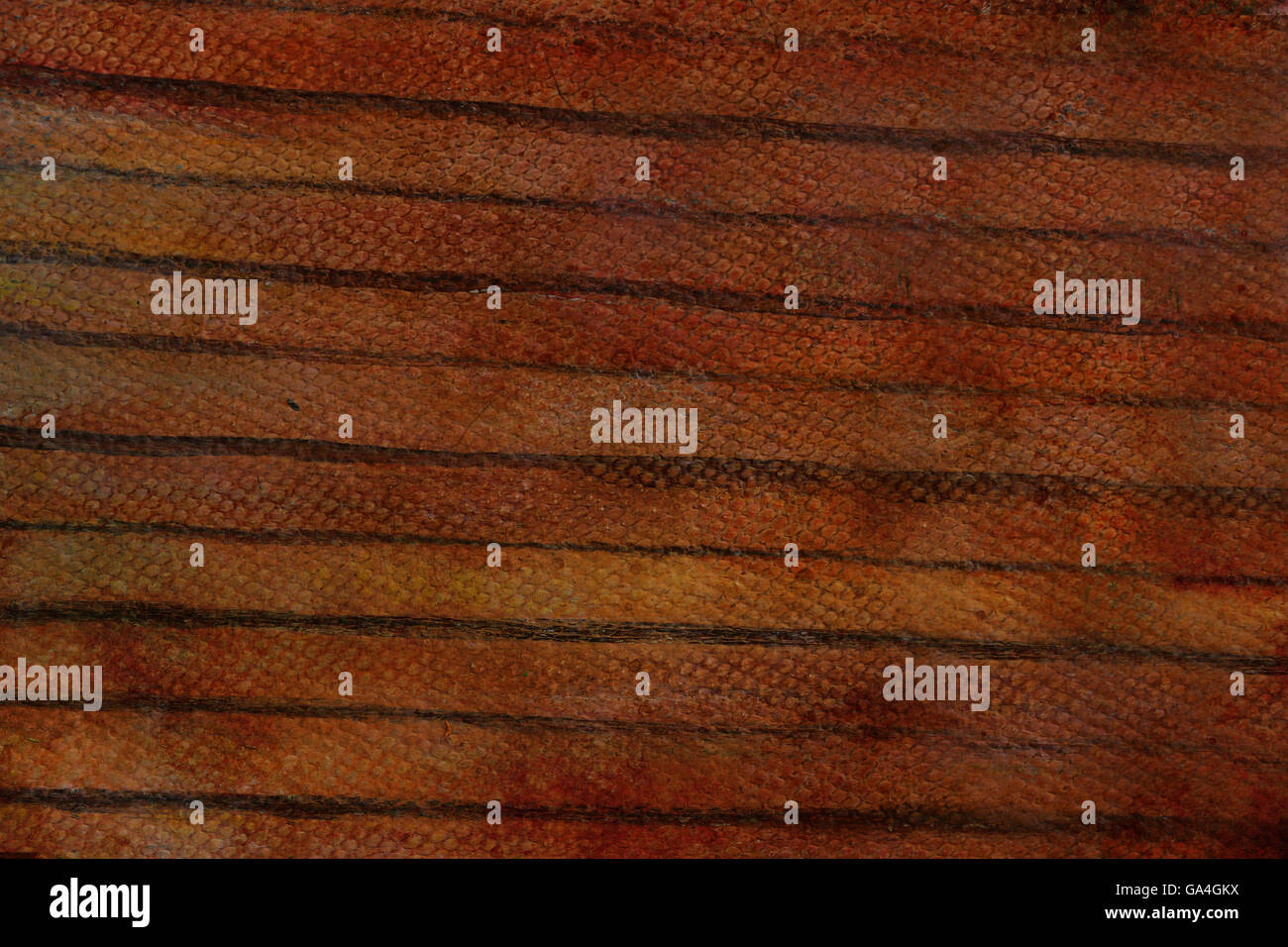 detail of wooden horizontal batten cover on house, painting Stock Photo ...
