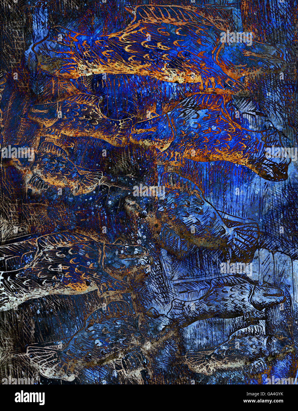 illustrations of fish in blue, engraved style illustration Stock Photo ...