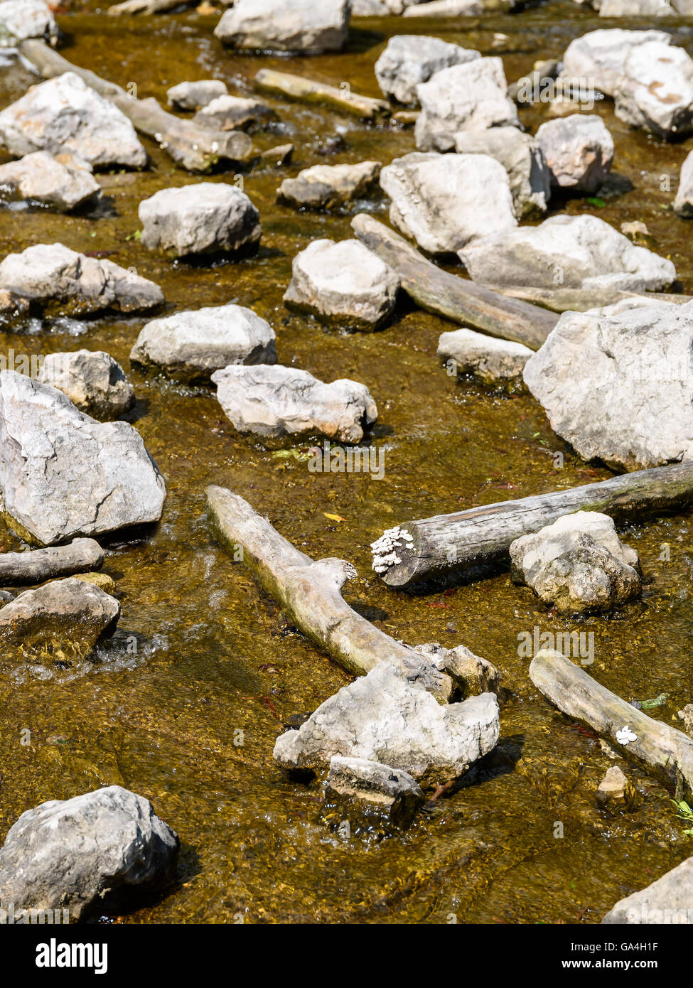 River Water Running Through Stones And Wood Stock Photo - Alamy