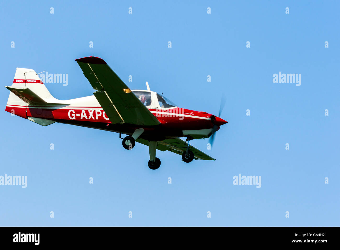 Flying beagle hi-res stock photography and images - Alamy