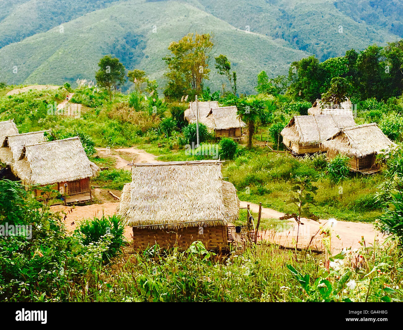 Local environment background hi-res stock photography and images - Alamy