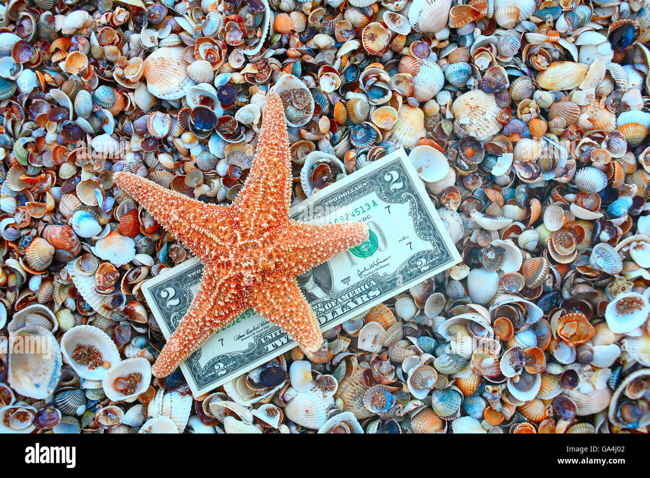 Starfish over two dollar banknote on coast covered with seashell Stock ...