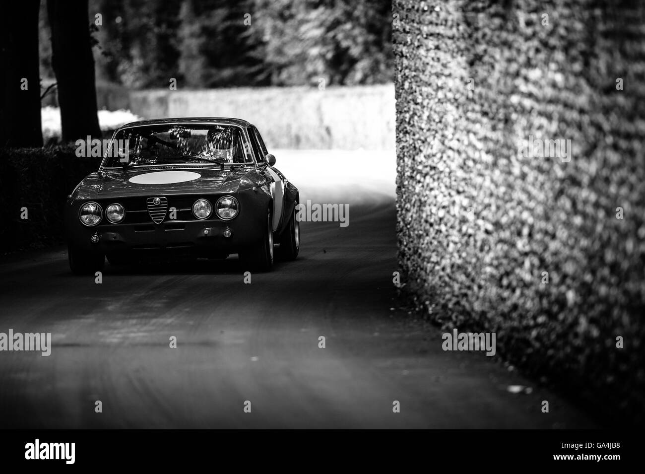 Alfa 1750 hi-res stock photography and images - Alamy