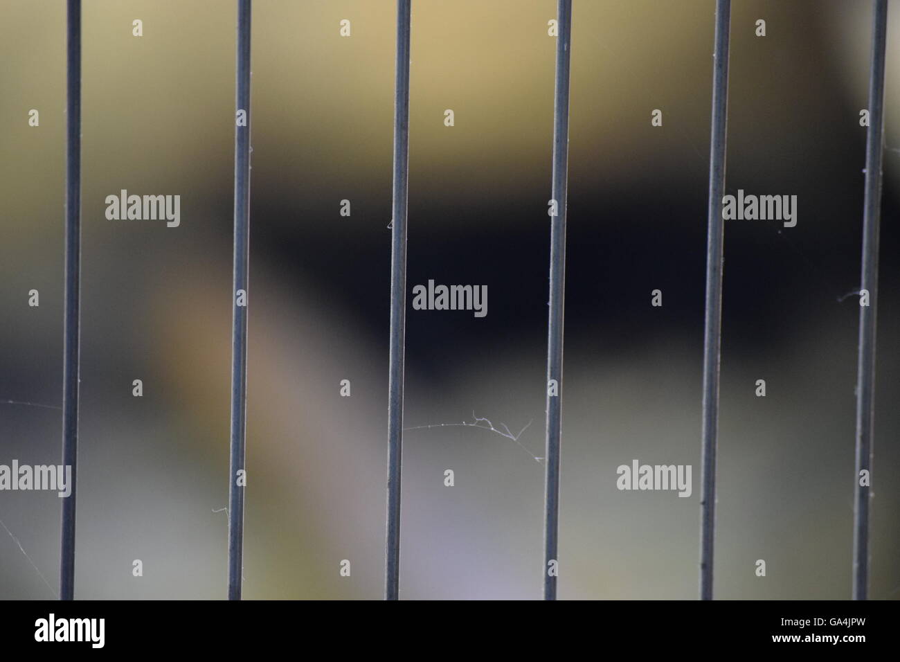 Bar fence hi-res stock photography and images - Alamy