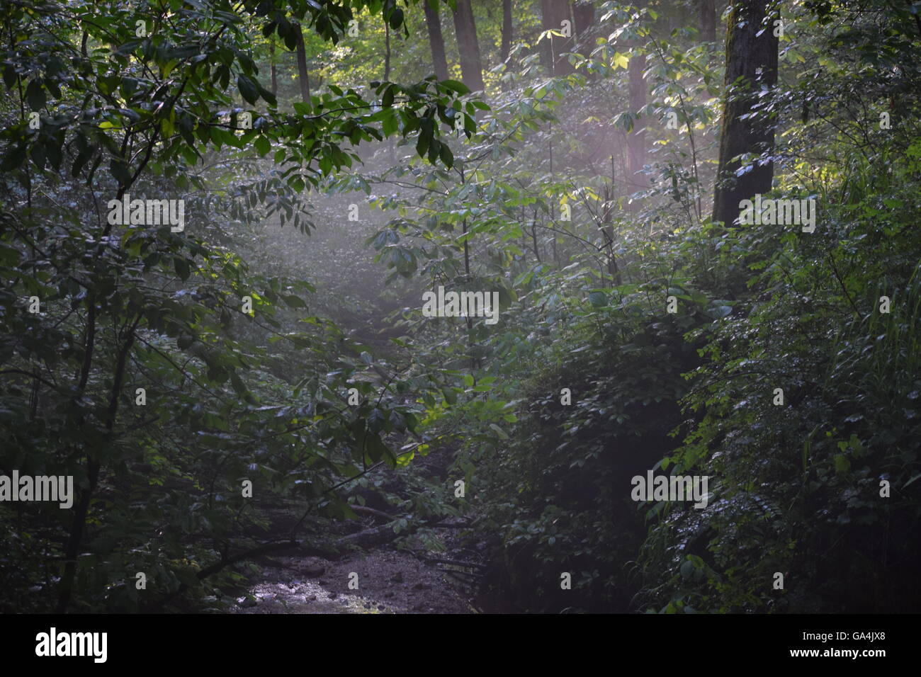 Fog rolls hi-res stock photography and images - Alamy