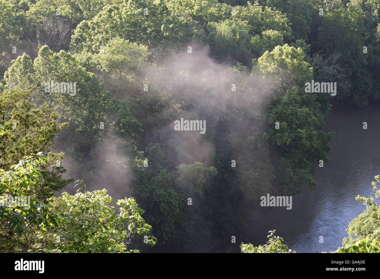 Fog rolls in over a stream after rain Stock Photo - Alamy
