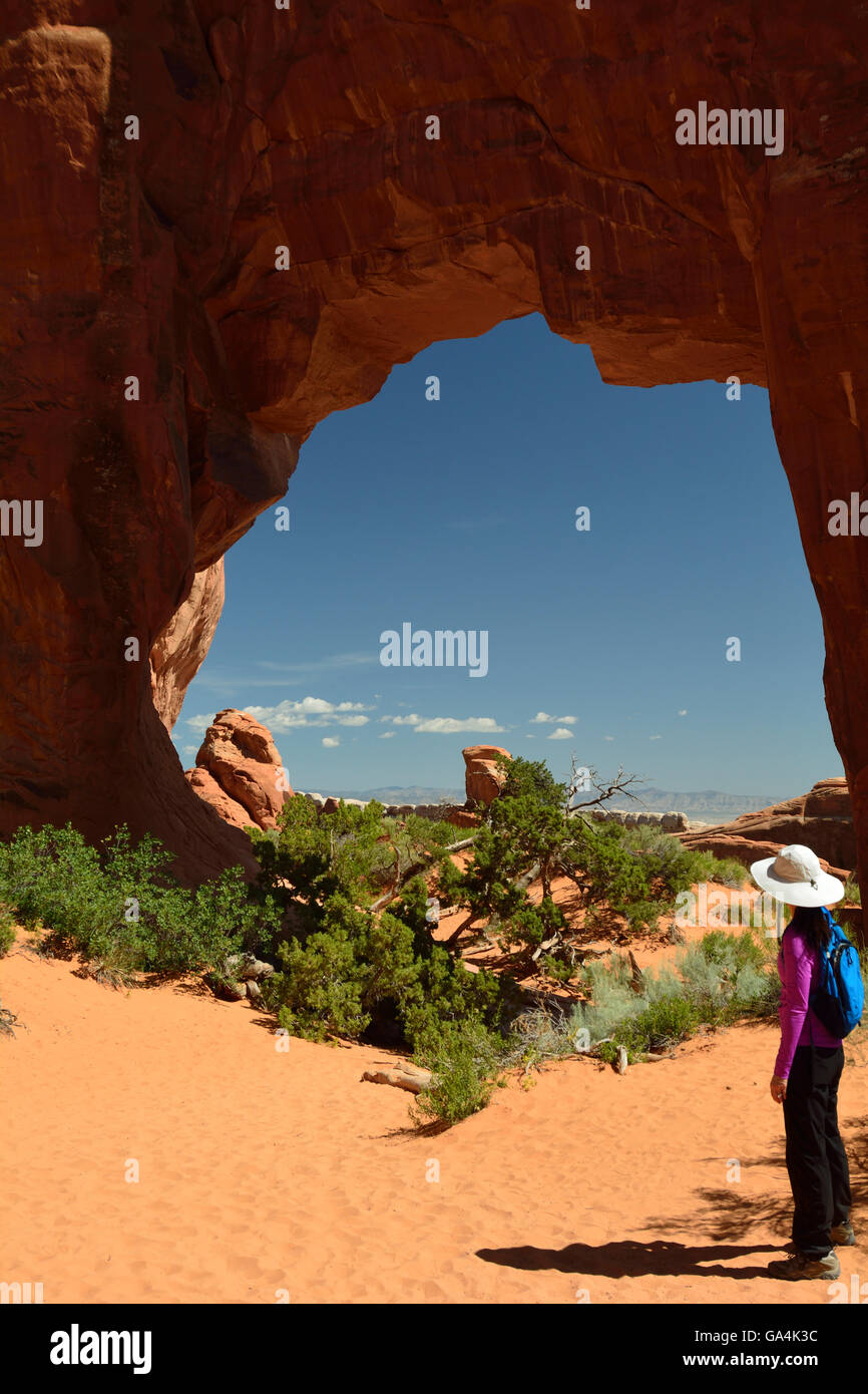 Pine Tree arch in Arches National Park in Utah Stock Photo - Alamy