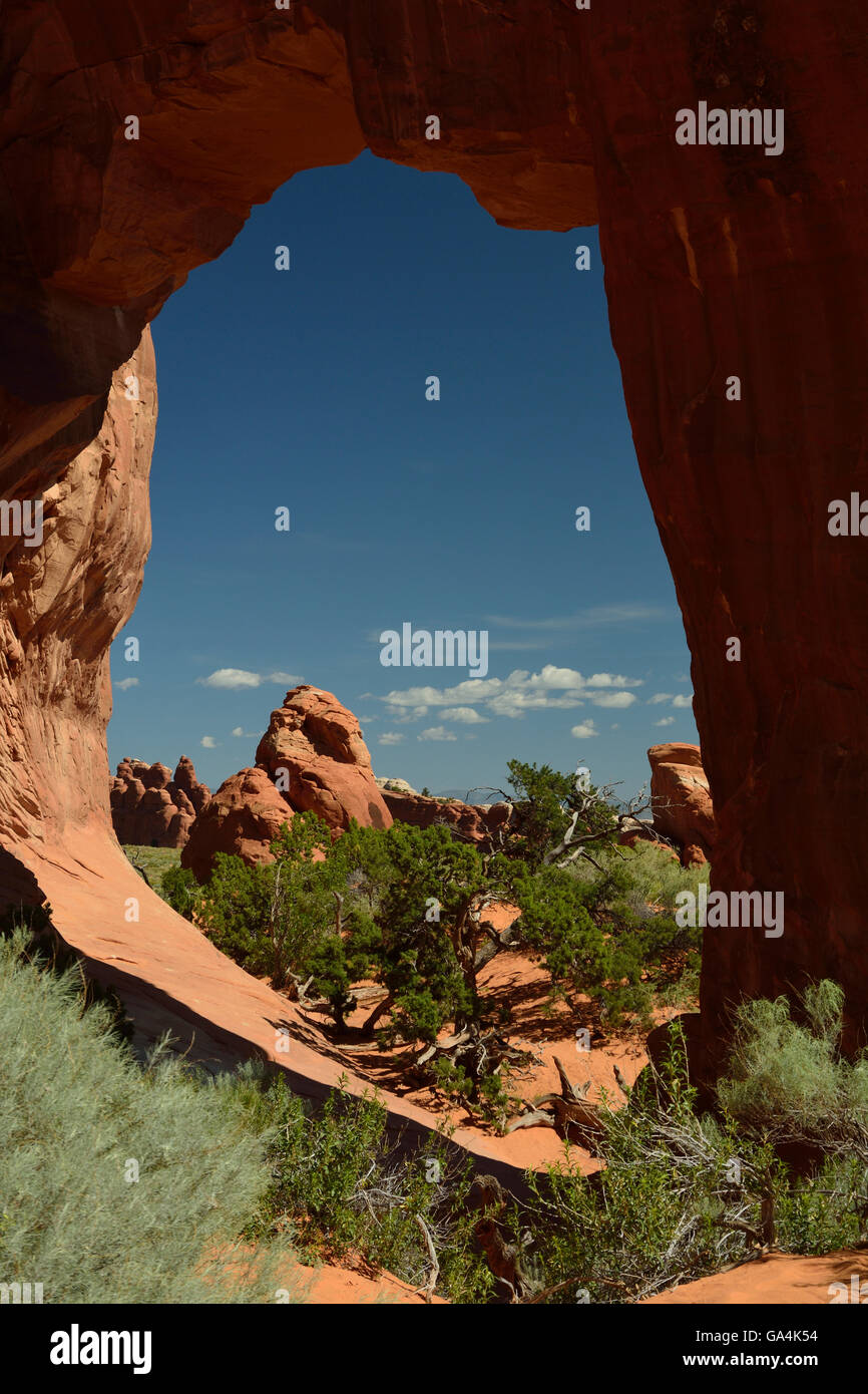 Tree arch hi-res stock photography and images - Alamy