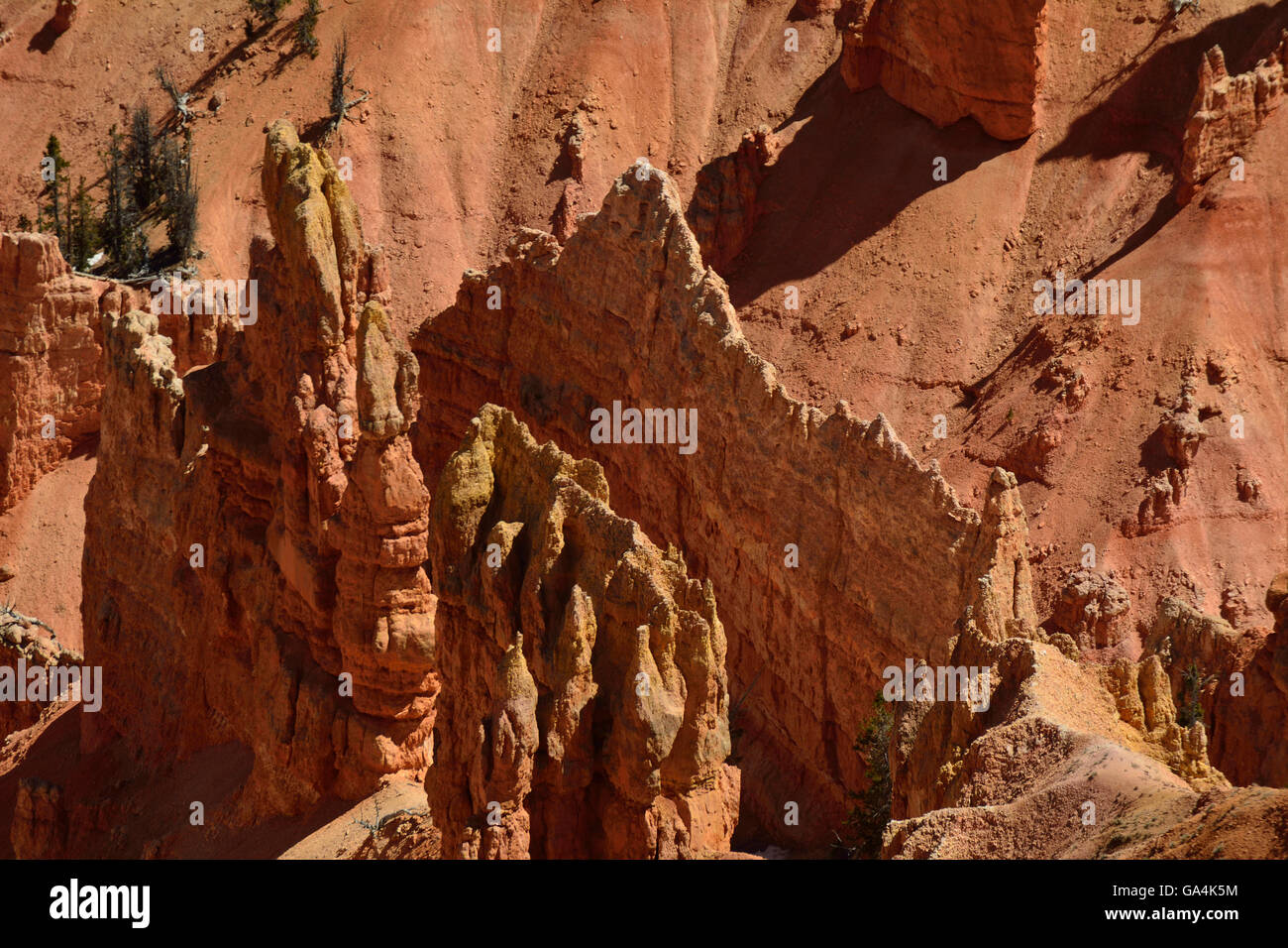 The beautiful but often ignored landscape of Cedar Breaks National ...