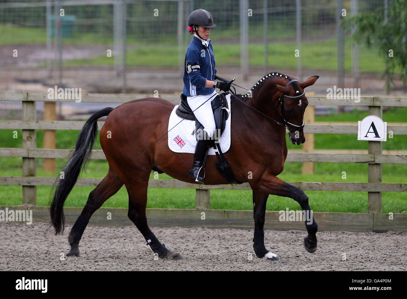 Para-Equestrian - Dressage World Championships - Hartpury College Stock ...