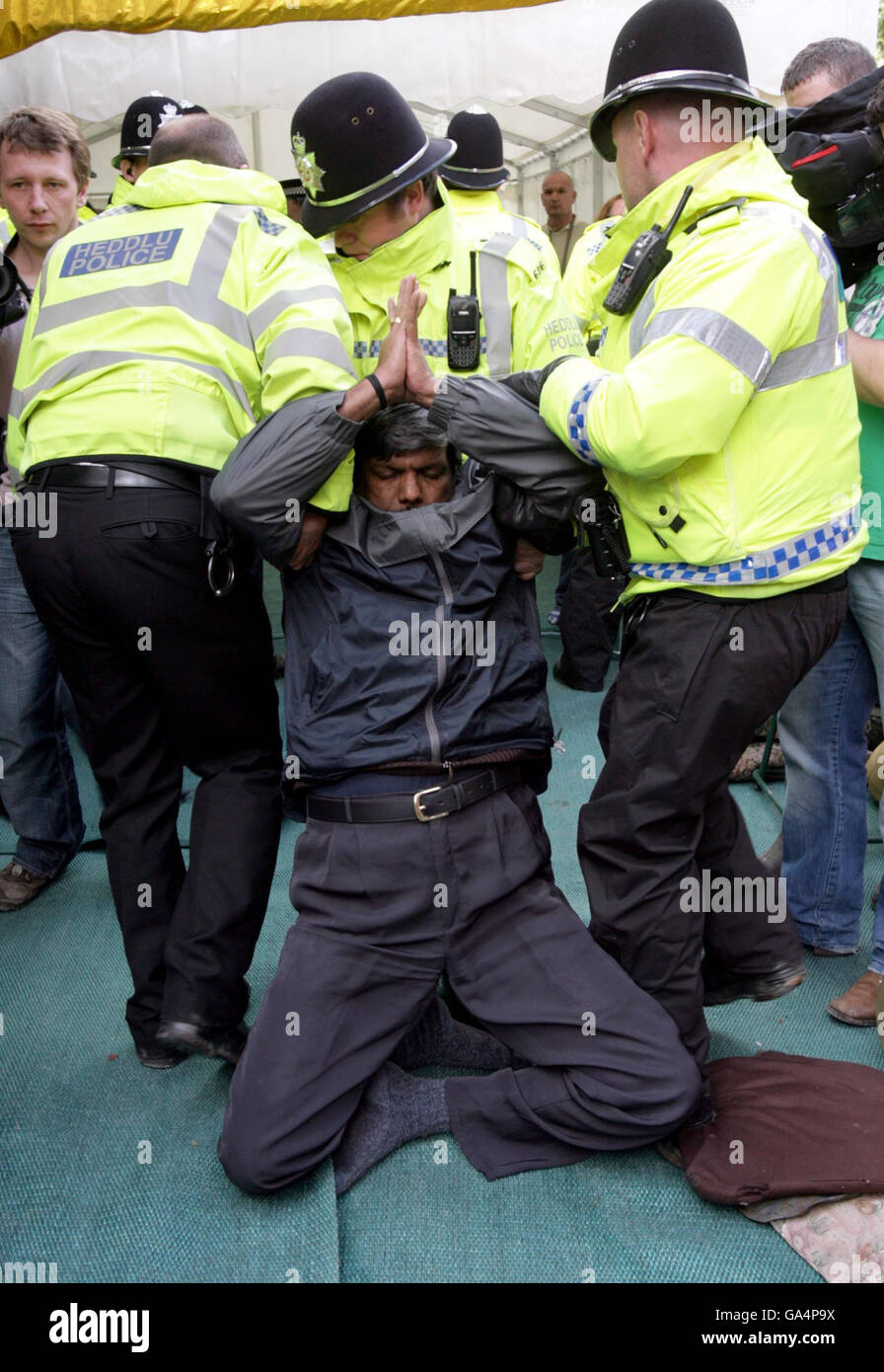 Shambo bull hi-res stock photography and images - Alamy