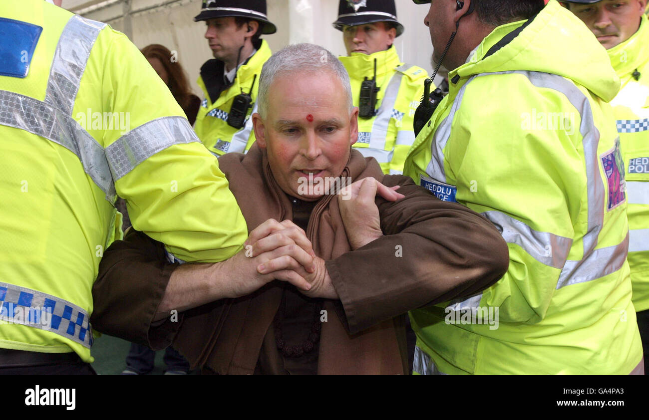 Shambo the bull Stock Photo - Alamy