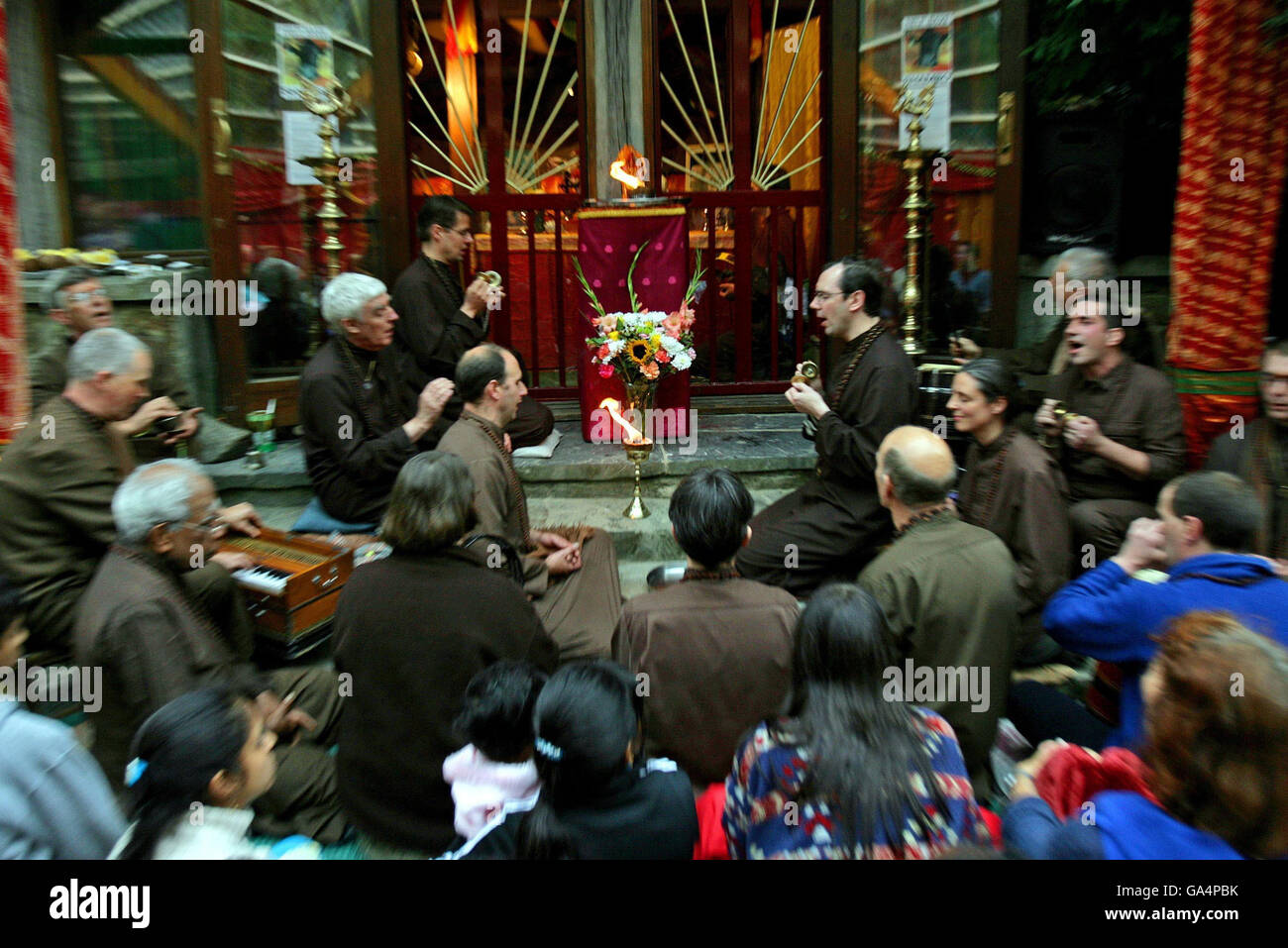 Shambo the bull Stock Photo - Alamy