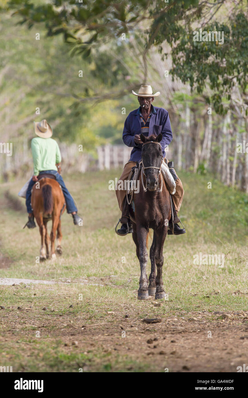Cowboys on horseback near Hacienda La Belen, a working ranch and ...