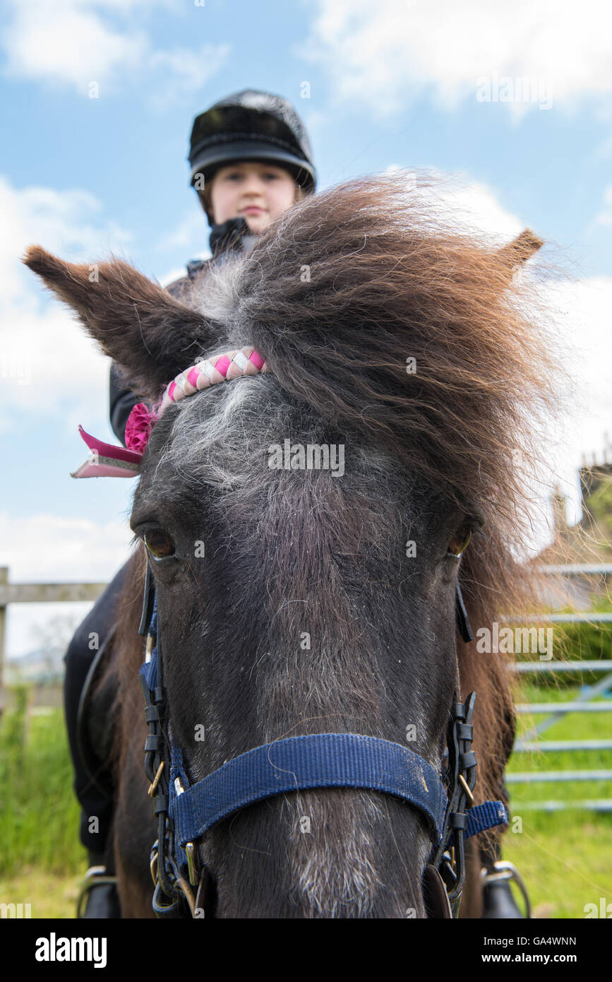Girl riding pony hi-res stock photography and images - Alamy