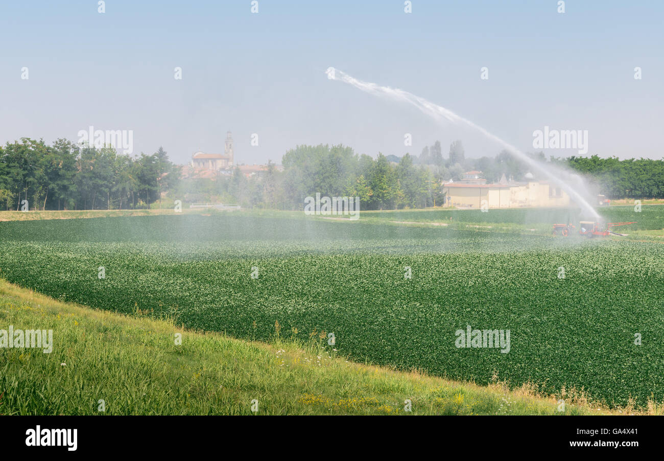 Irrigation system pumping water on a wheat field, Italy Stock Photo - Alamy