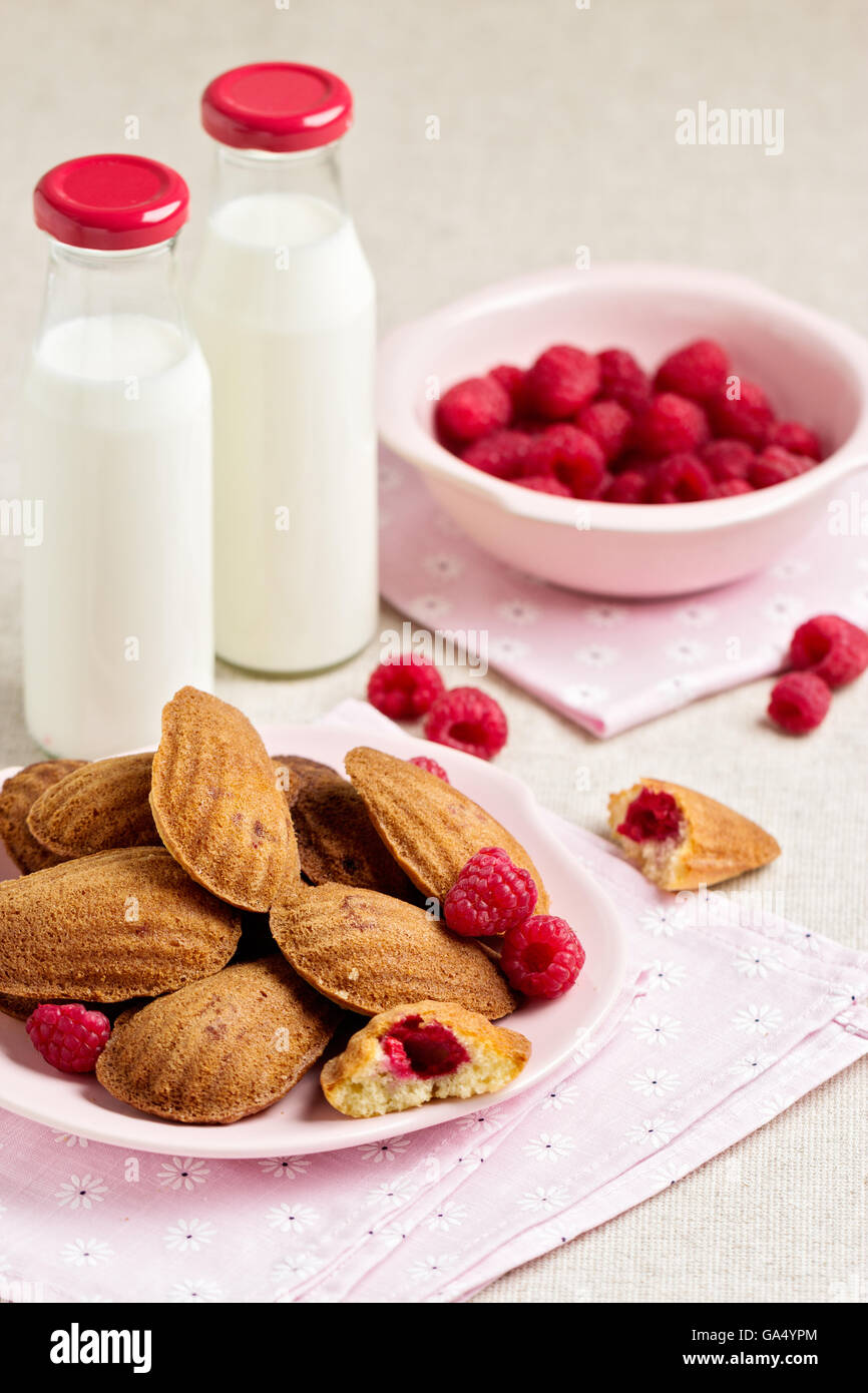 French pastry Madeleine with raspberries. Selective focus Stock Photo ...