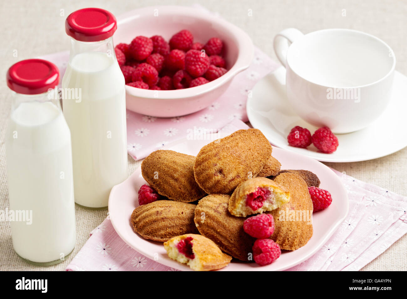French pastry Madeleine with raspberries. Selective focus Stock Photo ...