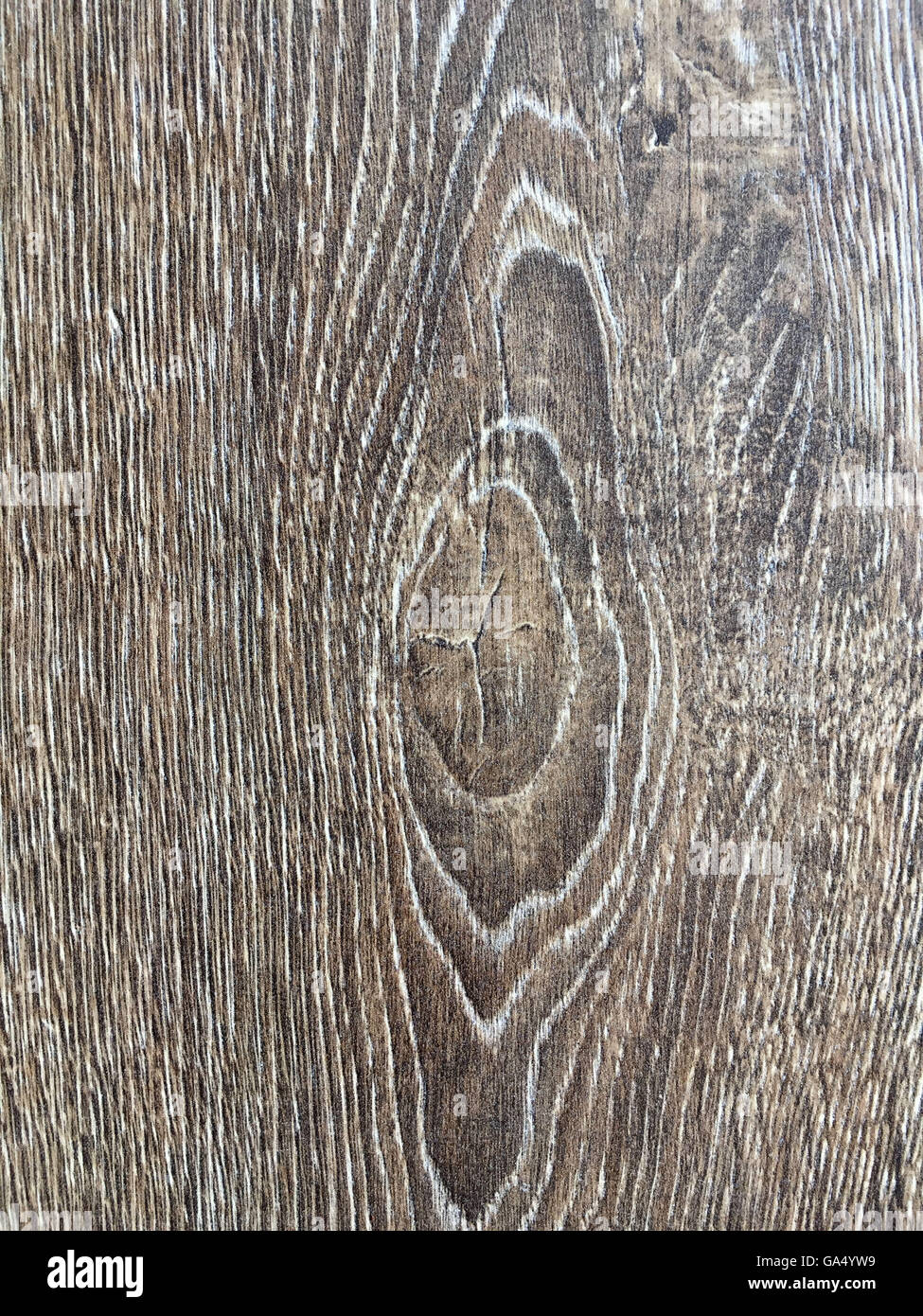 Wood ribs in close-up of oak wood Stock Photo - Alamy