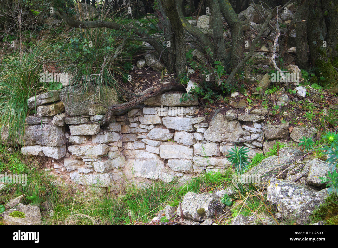 Fortification walls of the Hellenized indigenous settlement of Monte ...