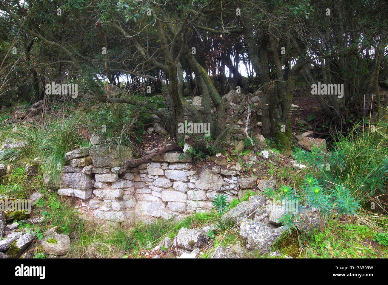 Fortification walls of the Hellenized indigenous settlement of Monte ...
