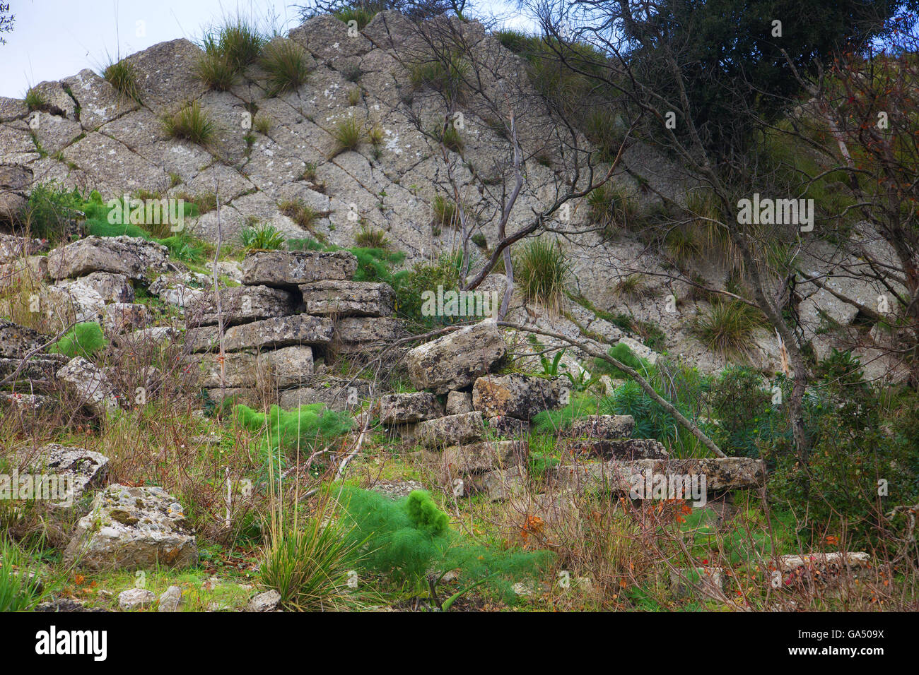 Fortification walls of the Hellenized indigenous settlement of Monte ...