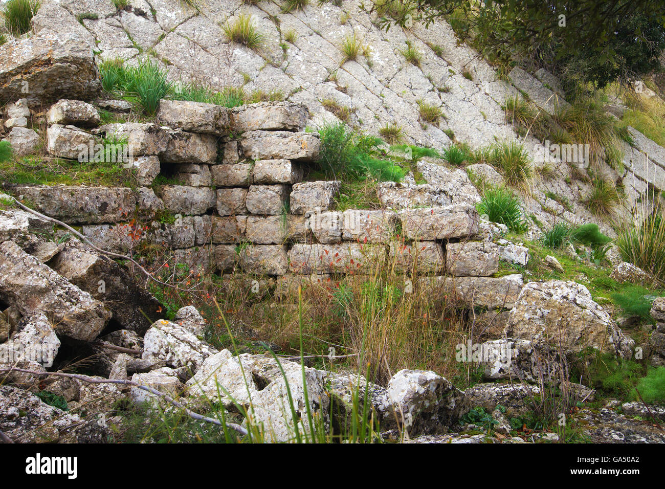Fortification walls of the Hellenized indigenous settlement of Monte ...