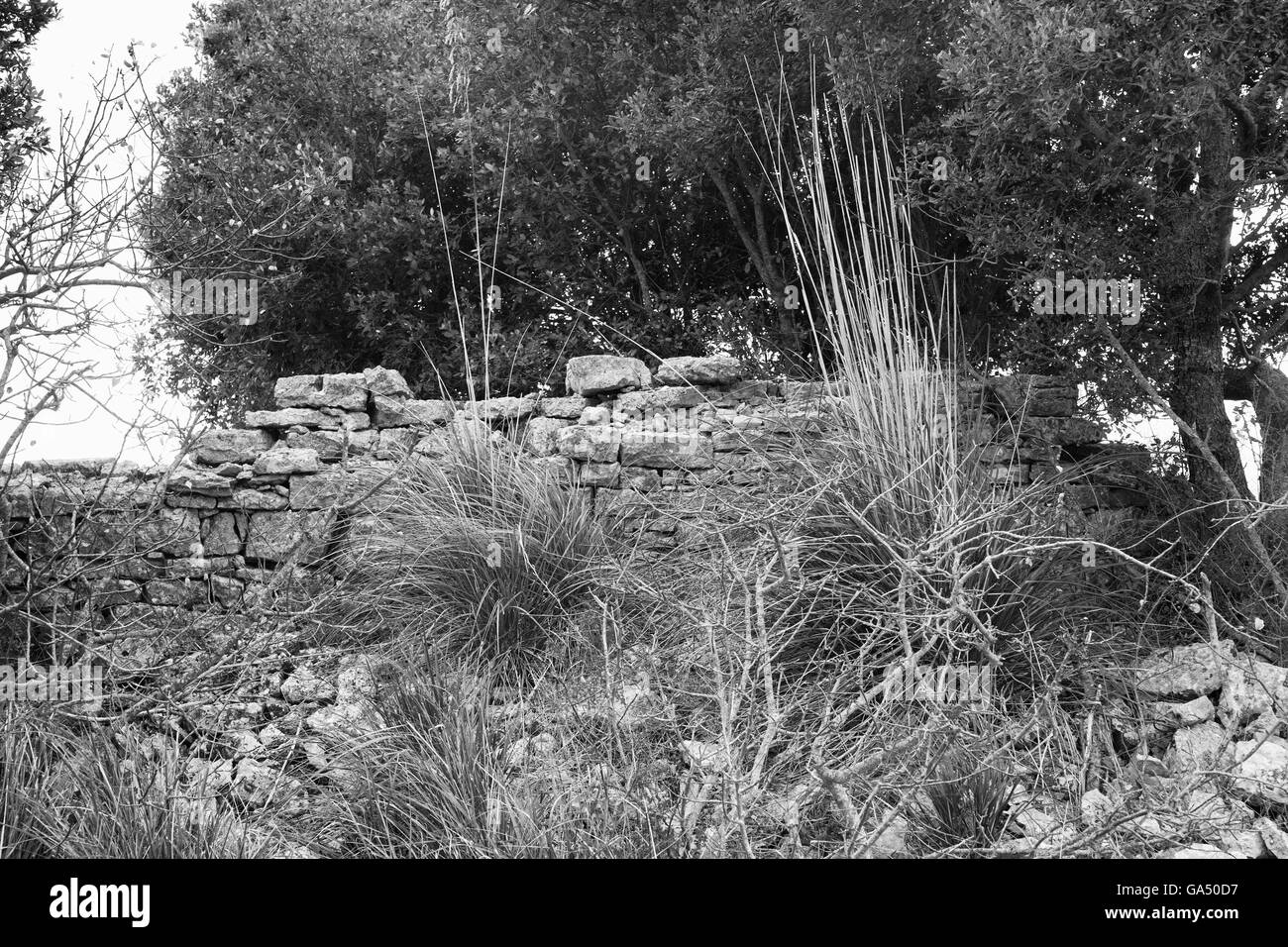Monte Judica, Hellenized indigenous settlement. Catania, Sicily Stock ...