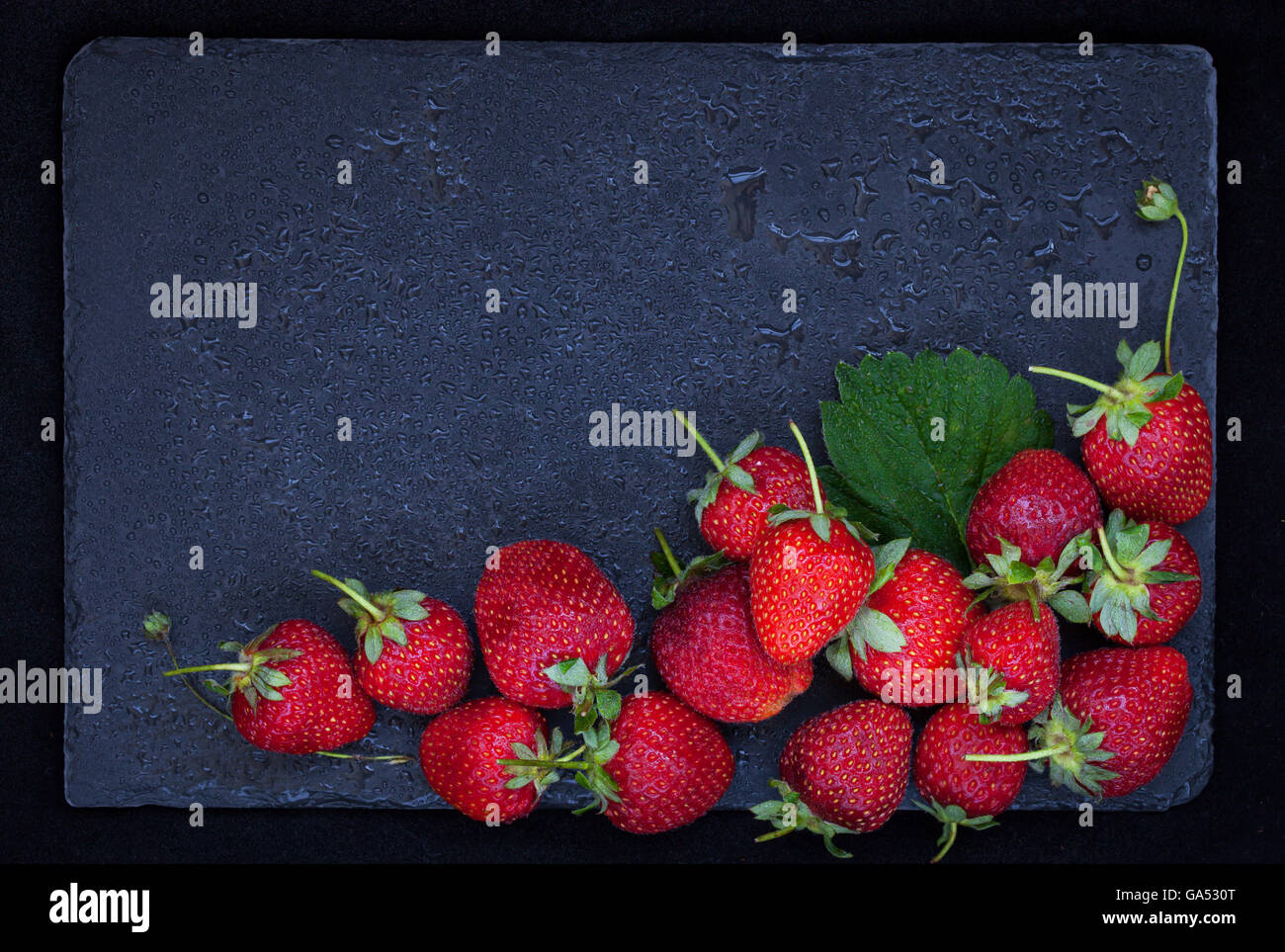 Empty summer space hi-res stock photography and images - Alamy