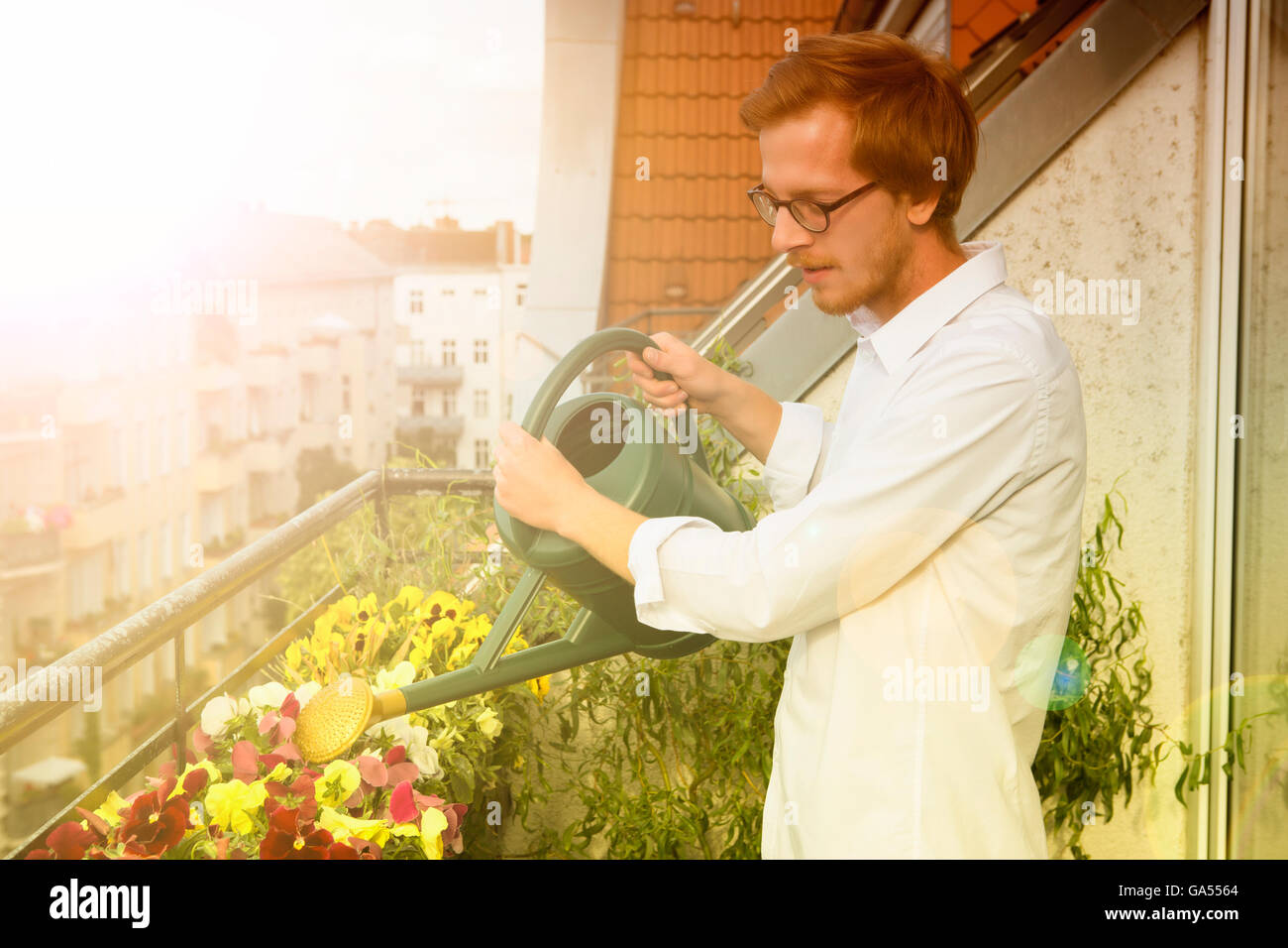 red-haired handsome young man watering flowers on balcony Stock Photo ...